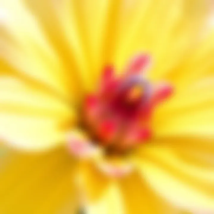 Spring Gardening: Simple Plants for Young Scientists